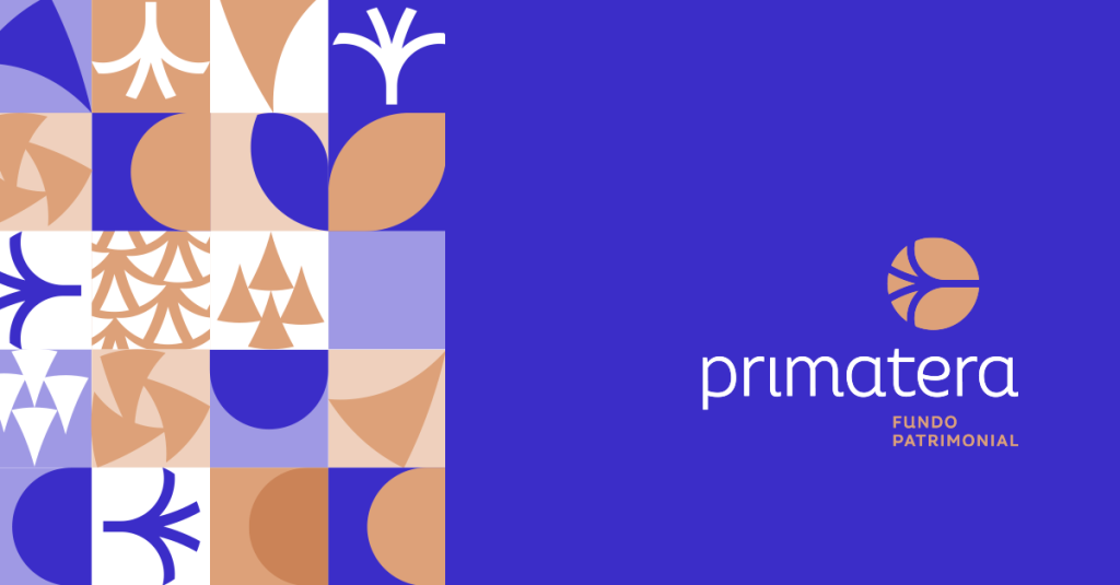 Fundo Patrimonial: o que é? - Primatera Fundo Patrimonial