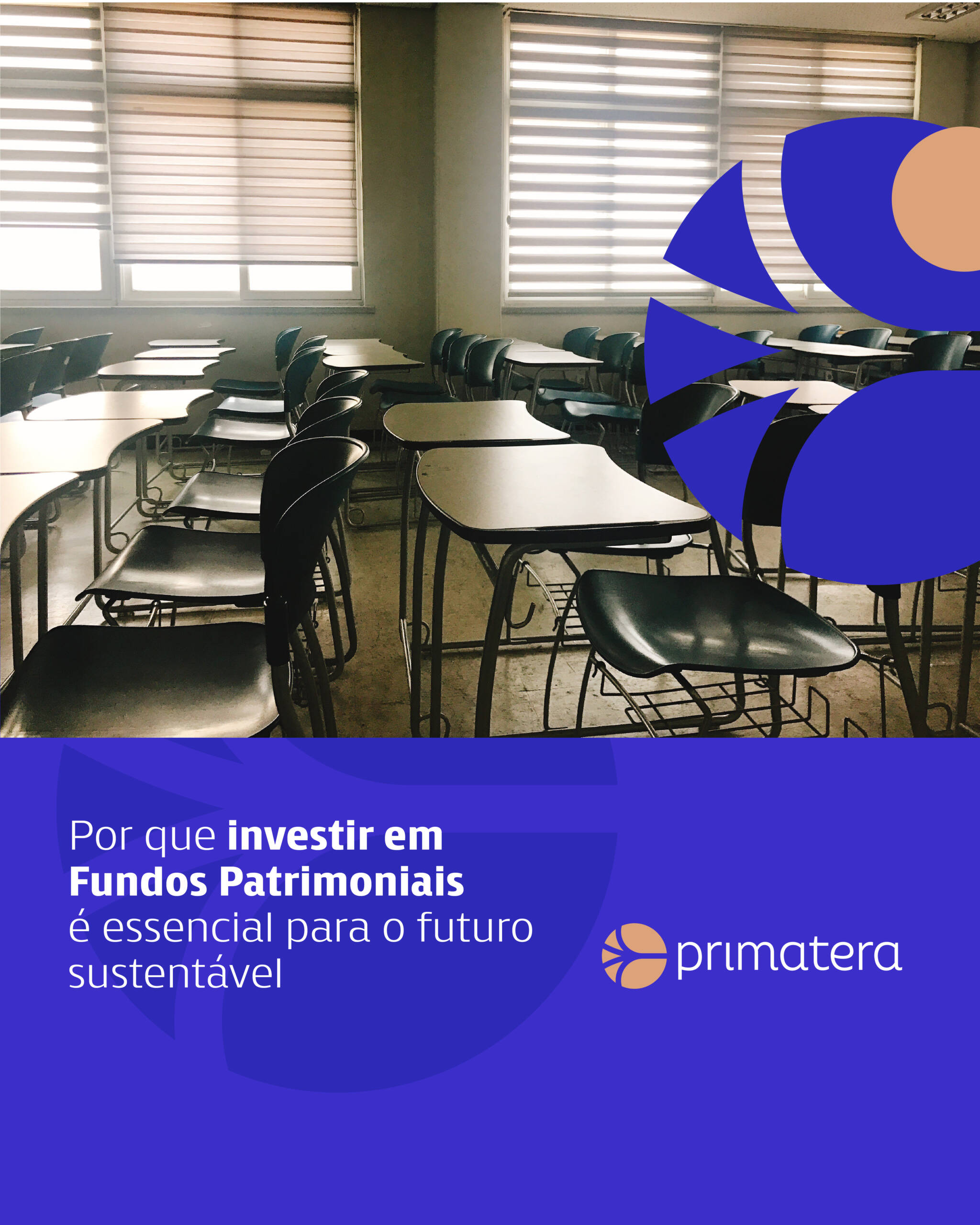 Por que investir em Fundos Patrimoniais é essencial para o futuro ...