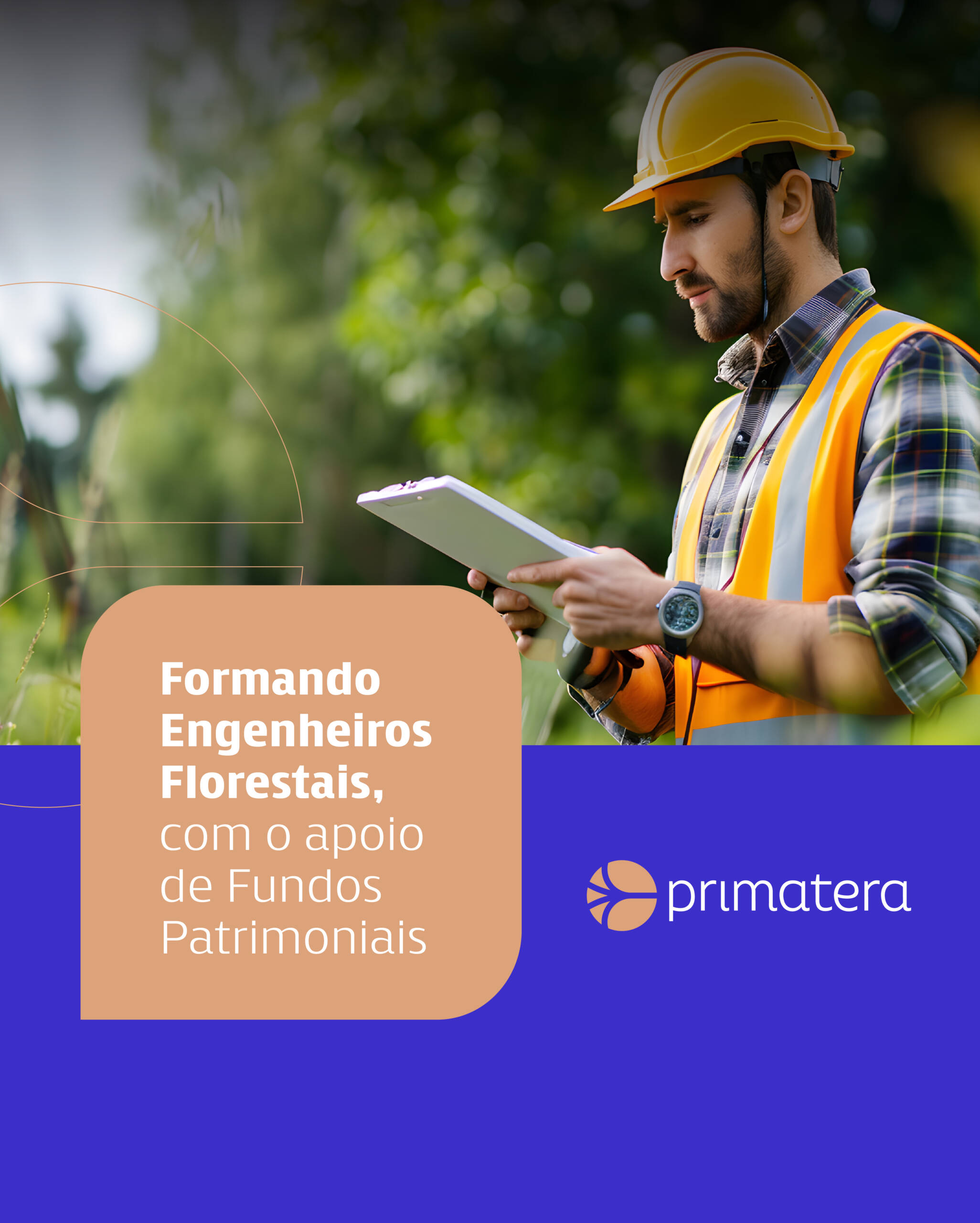 Engenheiros Florestais: formando profissionais mais qualificados com o ...